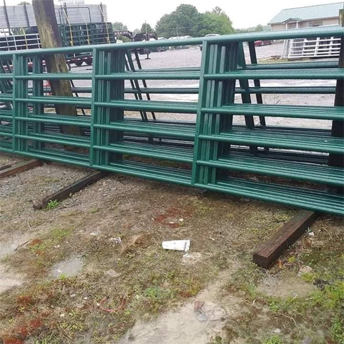 Galvanized Powder Coated Horse Corral Gates China Supplier